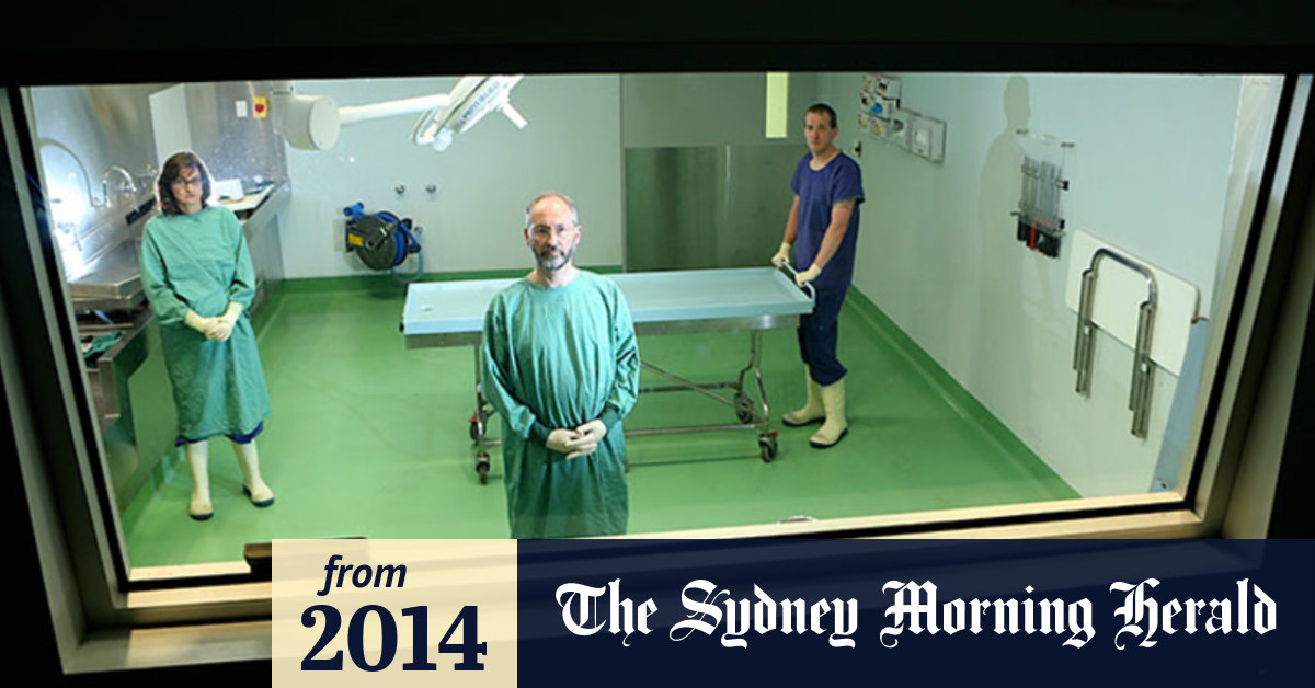 Video: Inside the Melbourne Morgue at 4am