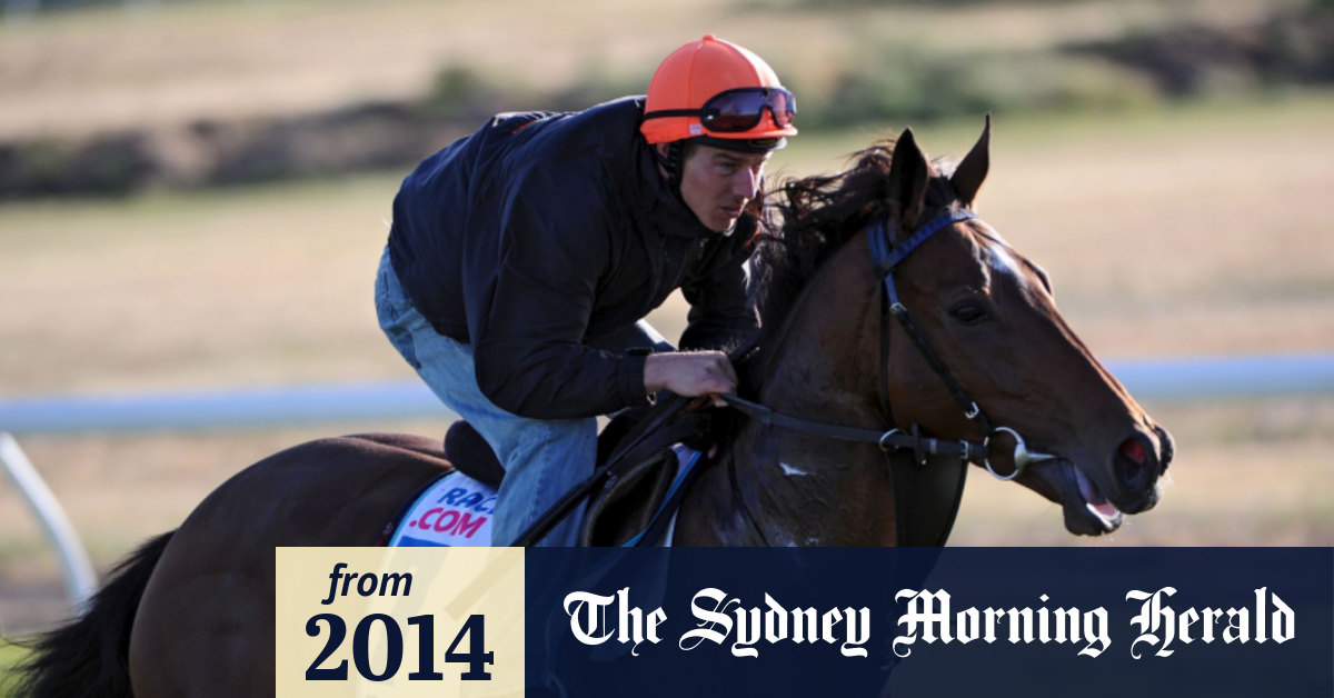 Young Englishman Archie Alexander hopes Renew can launch his career in ...