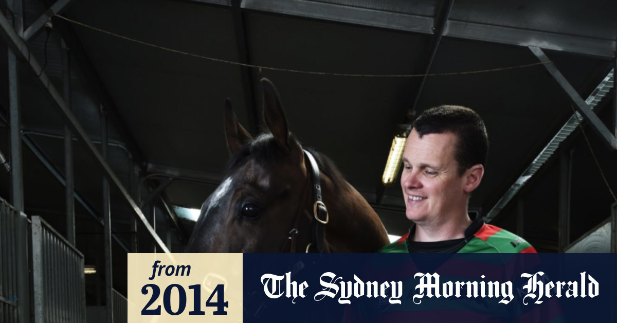 Rosehill trainer Sam Kavanagh's young team on target for early Christmas