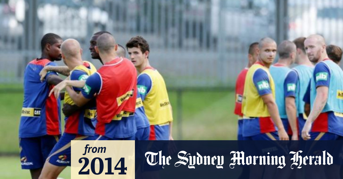 Taylor Regan and Mark Birighitti fight at Newcastle training