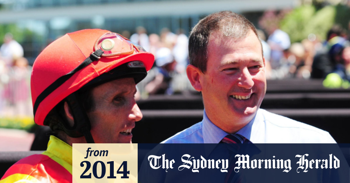 Mornington trainer Mark Riley faces ban over Gold For Kev's pre-race ...