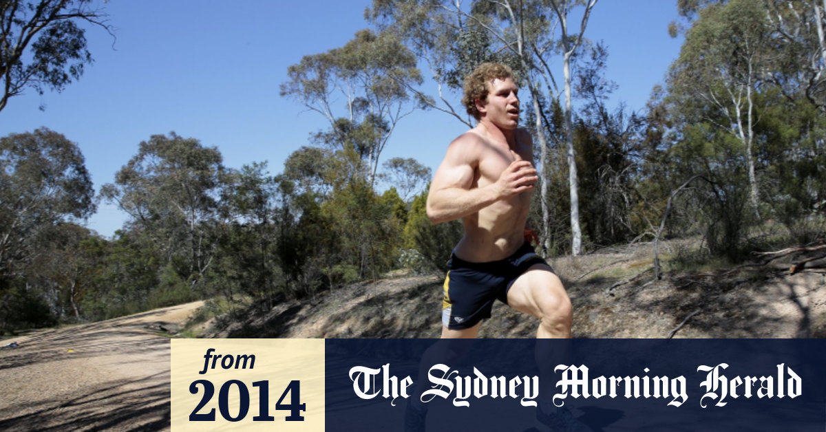 Brumbies flanker David Pocock returning to full training on Monday