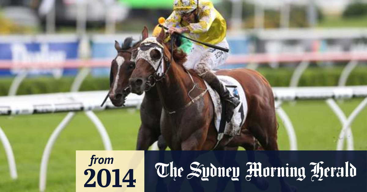 Trainer David Payne happy with Warwick Stakes switch for Derby winner ...