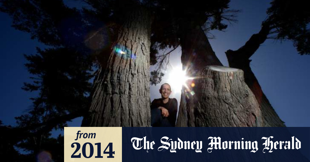 Video: An interview with Andy Griffiths and Richard Tulloch