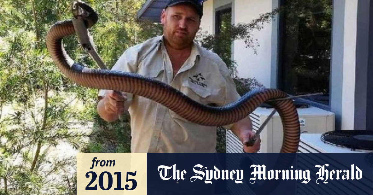 Video: Snake released by catcher