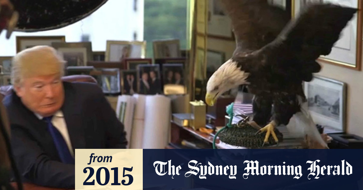 Video: Bald eagle attacks Trump