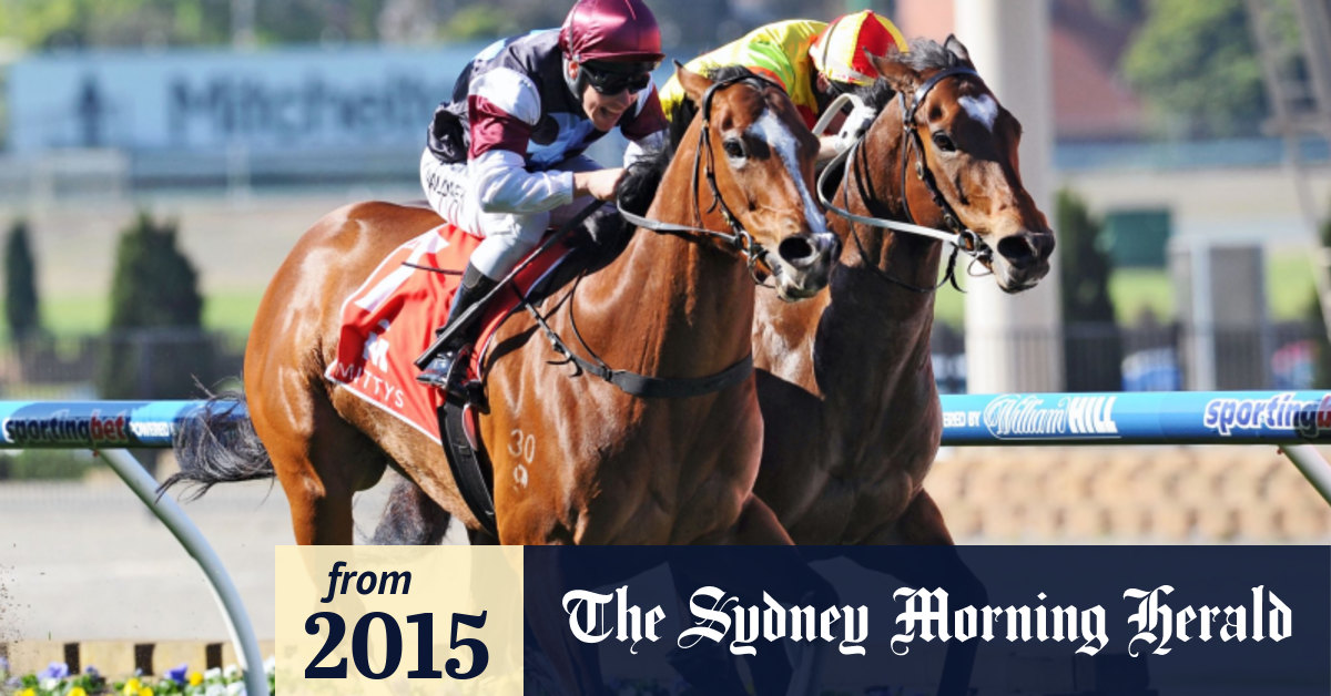 Trainer Robbie Griffiths hoping Angelic Light can deliver a first group ...