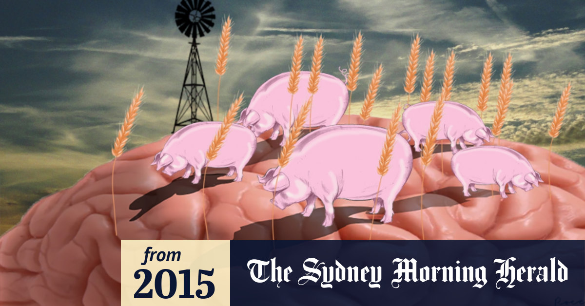 Bring out the pigness of the pig, the chickenness of the chicken