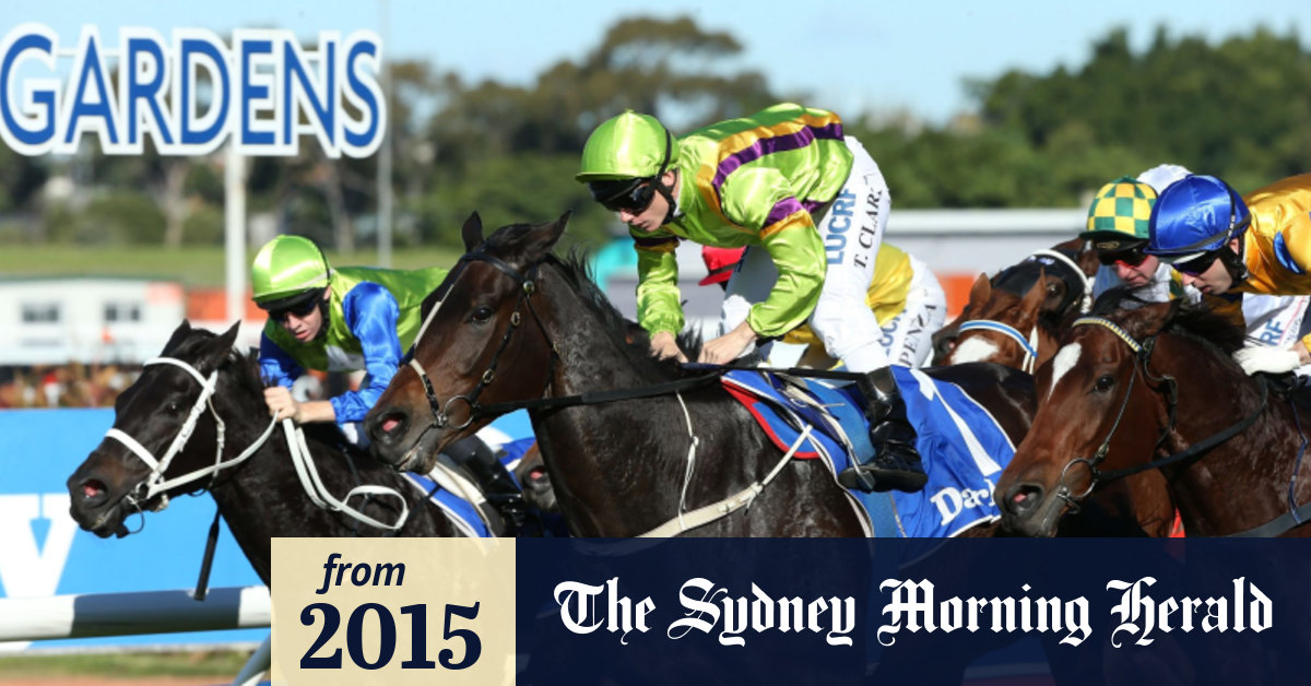 Gerald Ryan works wonders with Solicit in Darley Crown after retirement ...