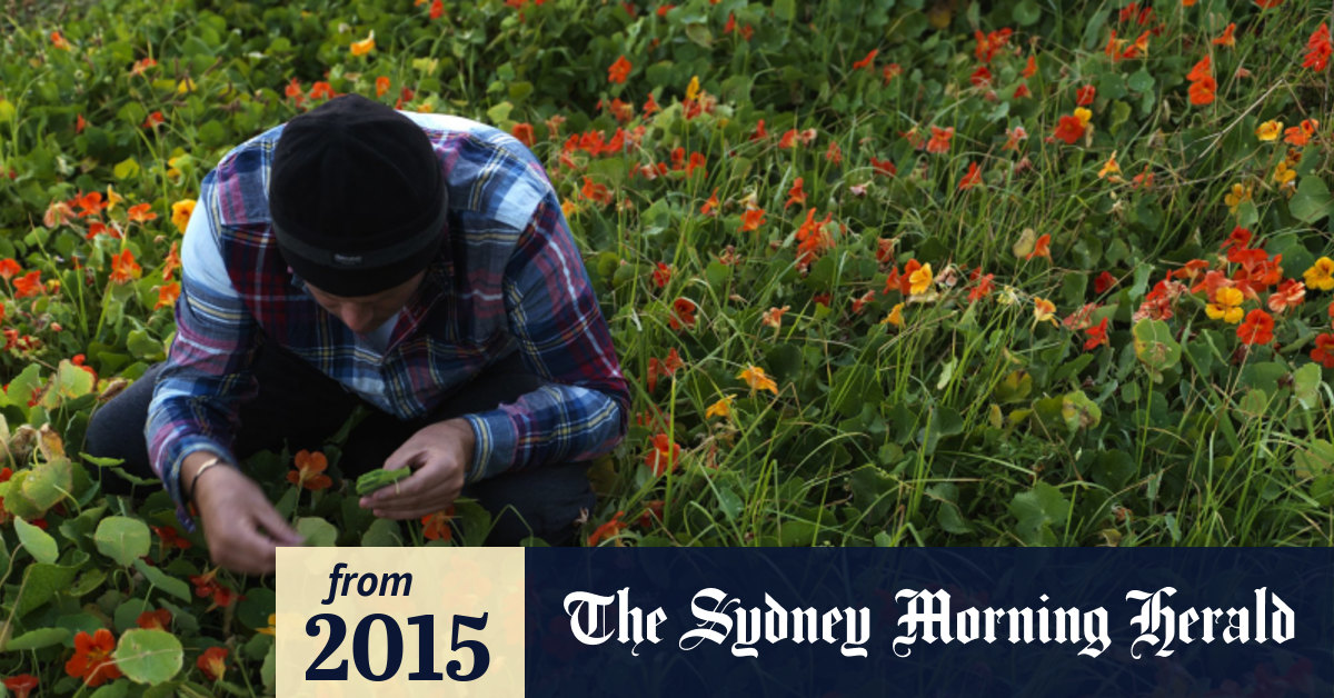 Gardening: Biota chef James Viles' lush new cookbook