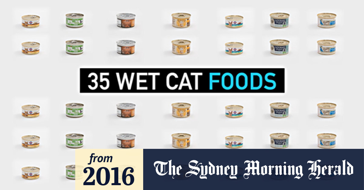 Video: CHOICE: cat food put to the test