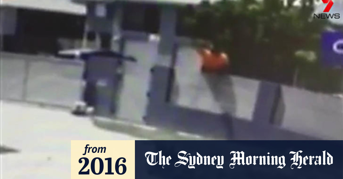 Video: Delivery man throws package