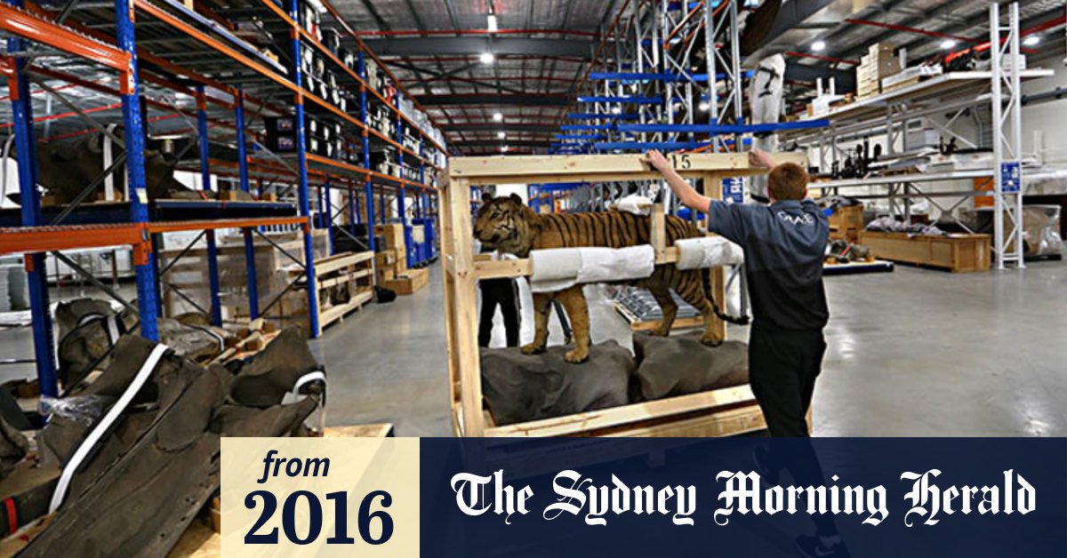 Video: Moving museum storage