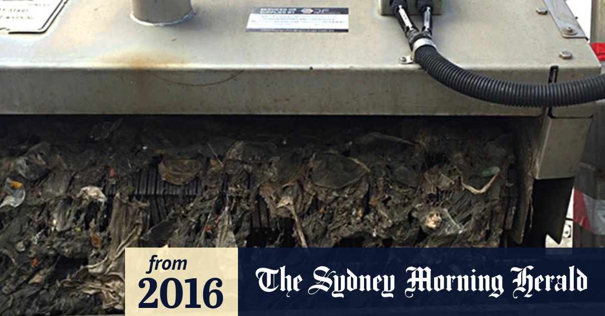 Video: 'Flushable' wet wipes clog Sydney sewerage