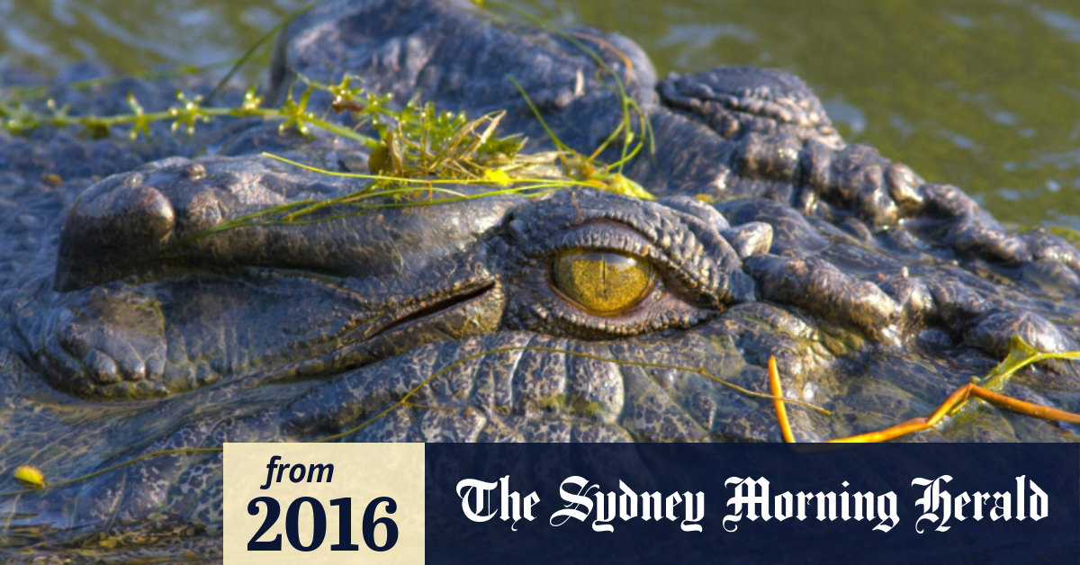 Seven rescued from croc-infested Northern Territory waters