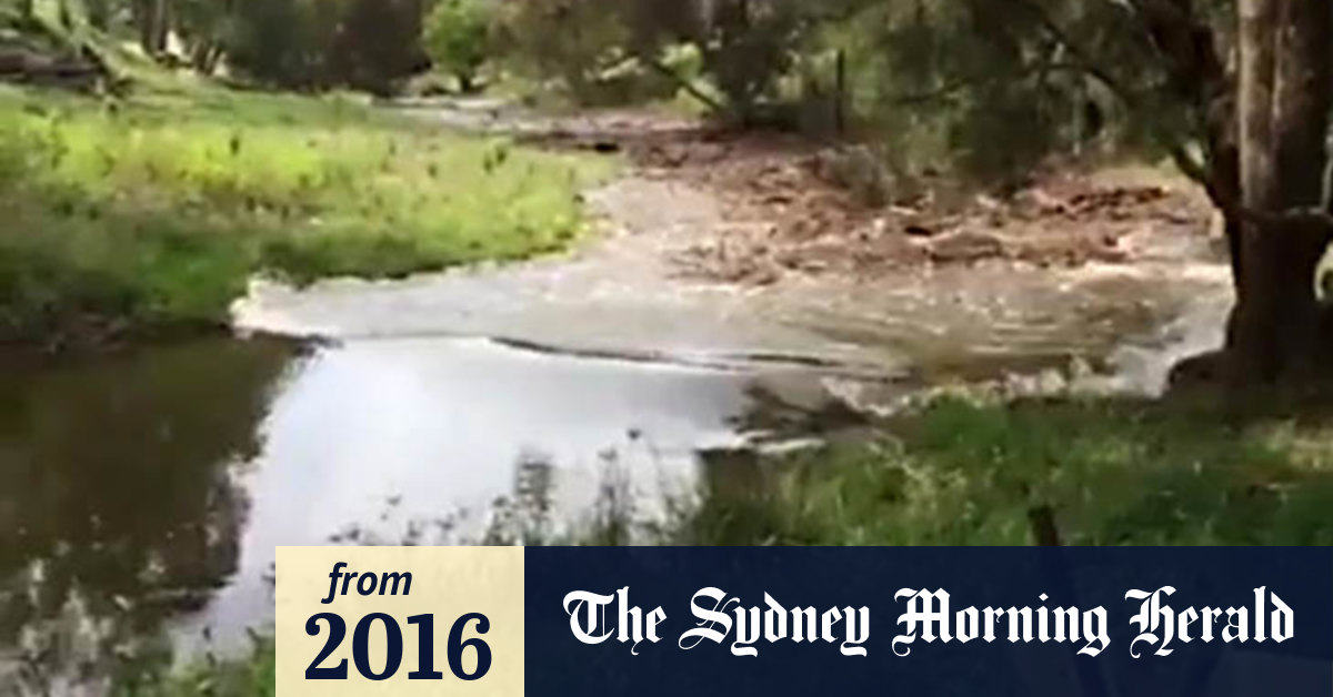 Video: Flash flood caught on camera