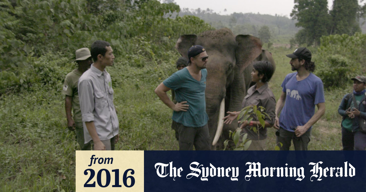 TV: Leo DiCaprio's climate change documentary Before the Flood is ...