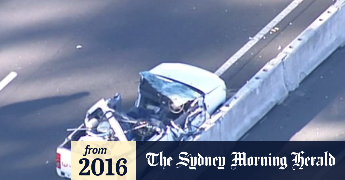 Video: Man dies after tree crushes ute