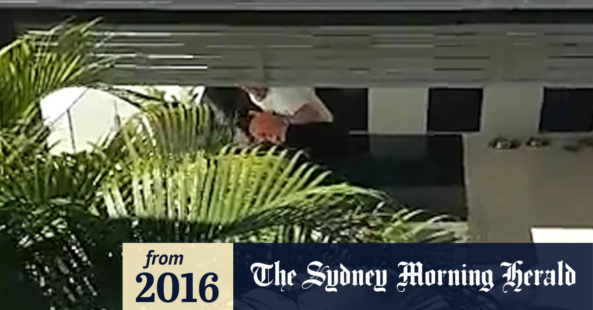 Video: Man filmed abusing dog