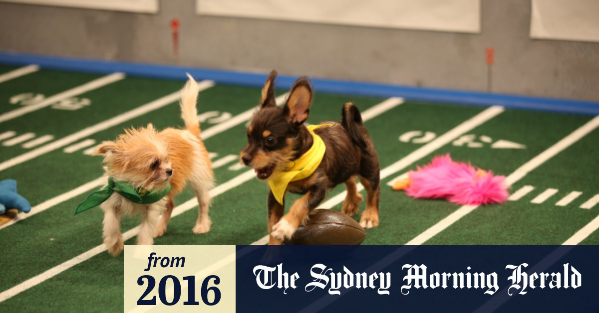 m23-Tv-sides: The Checkout: An unsung hero of the satirical landscape