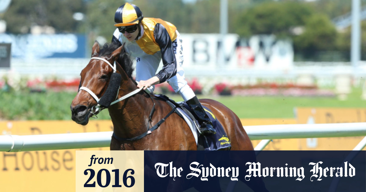 Racing: Chris Waller catches up with owner's dream for Antonio Giuseppe