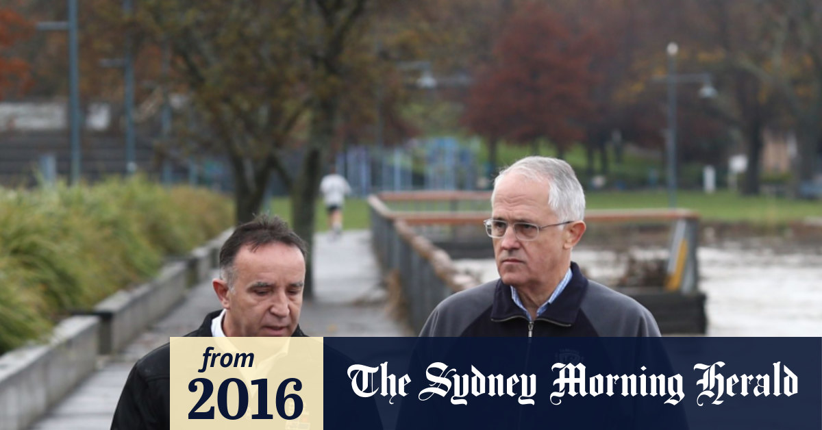 Election results: Abbott-backer Andrew Nikolic blames GetUp! for swing ...