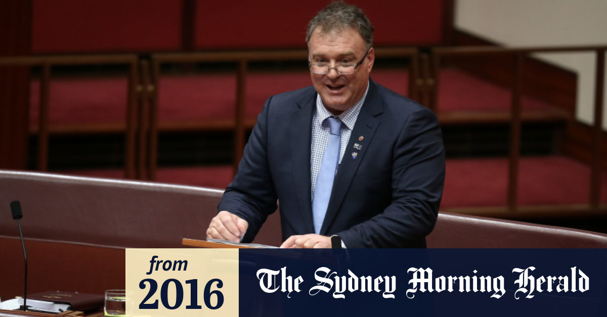 Election of One Nation senator Rod Culleton to be examined by High Court