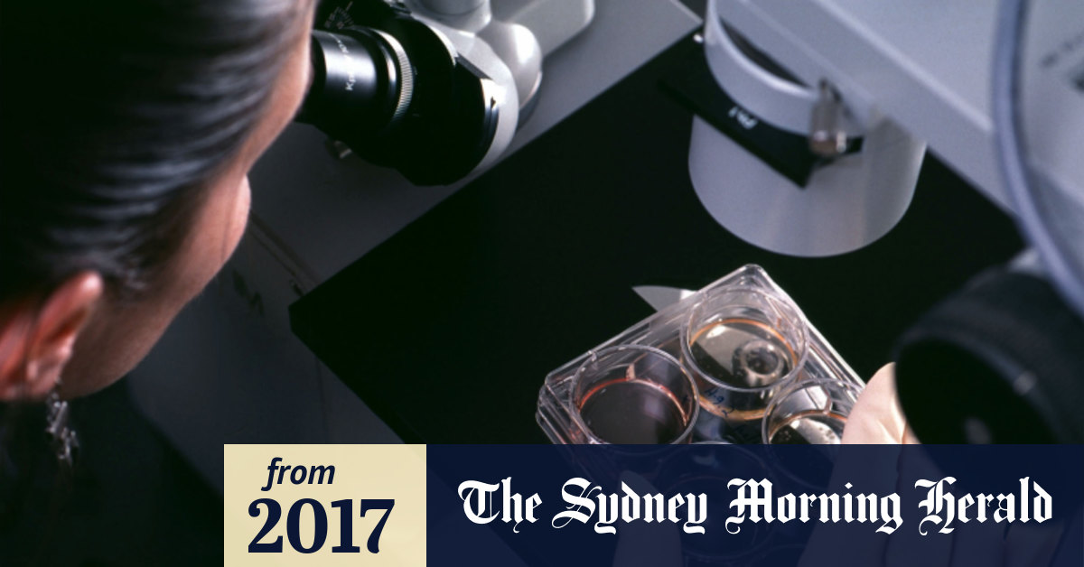 Science is not elitist: it's built on error, luck and non-geniuses ...