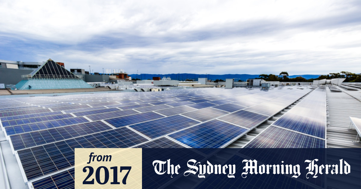 Massive jump in solar energy roll-out means scarcity fears unfounded ...