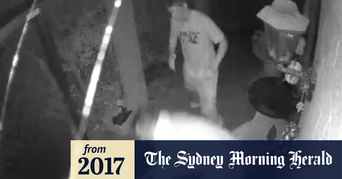 Video: Violent home invasion caught on camera