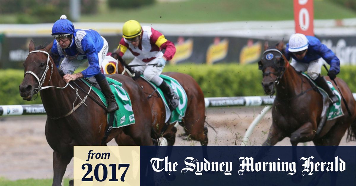 Two outstanding female racehorses set to rule the autumn