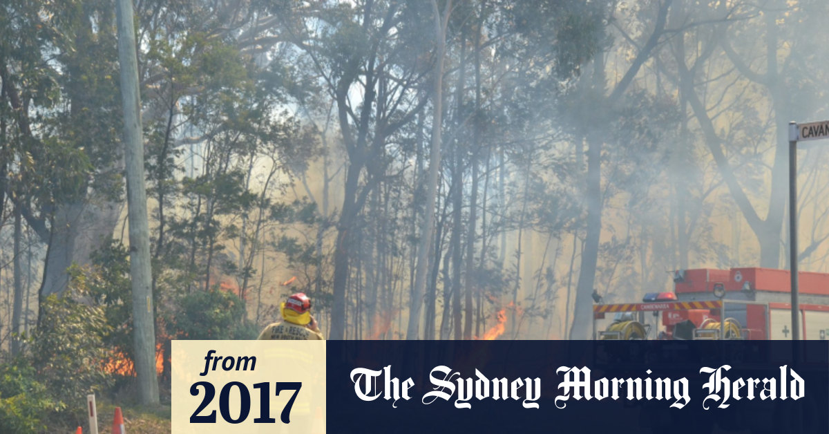 Bushfire breaks out in Royal National Park as firefighters in West ...