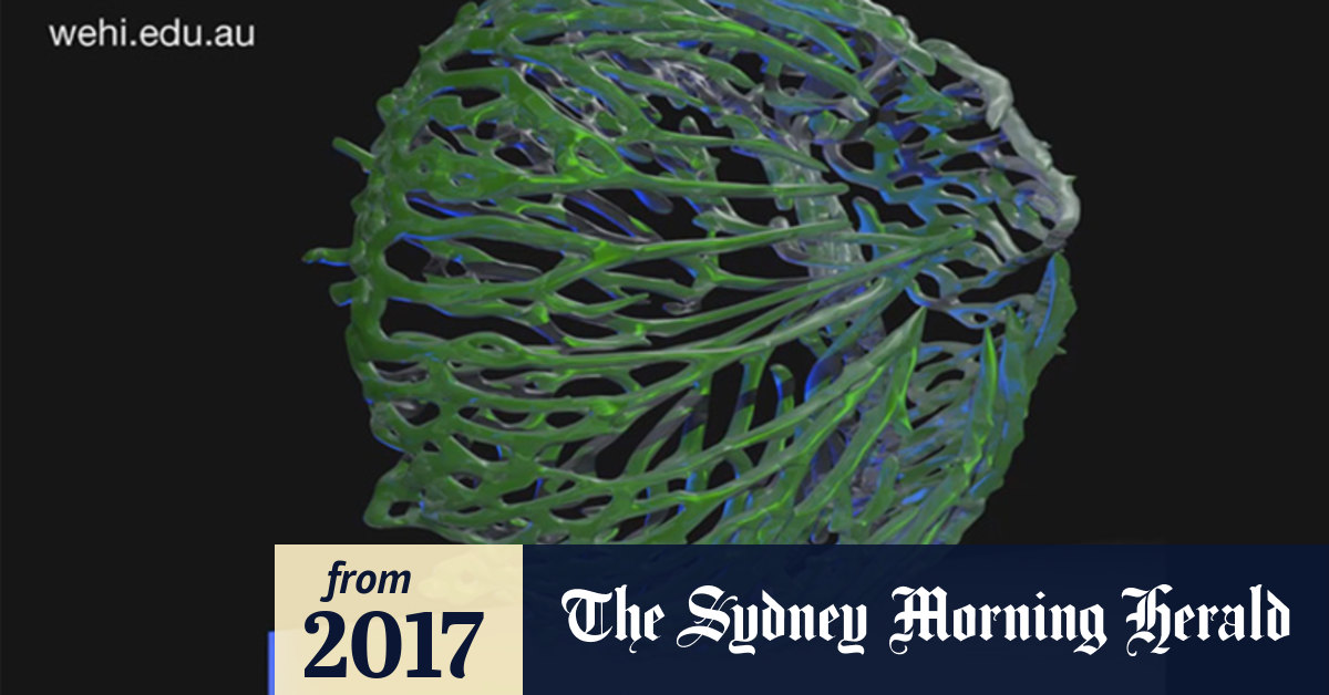 Video: Art of Science moving image finalists