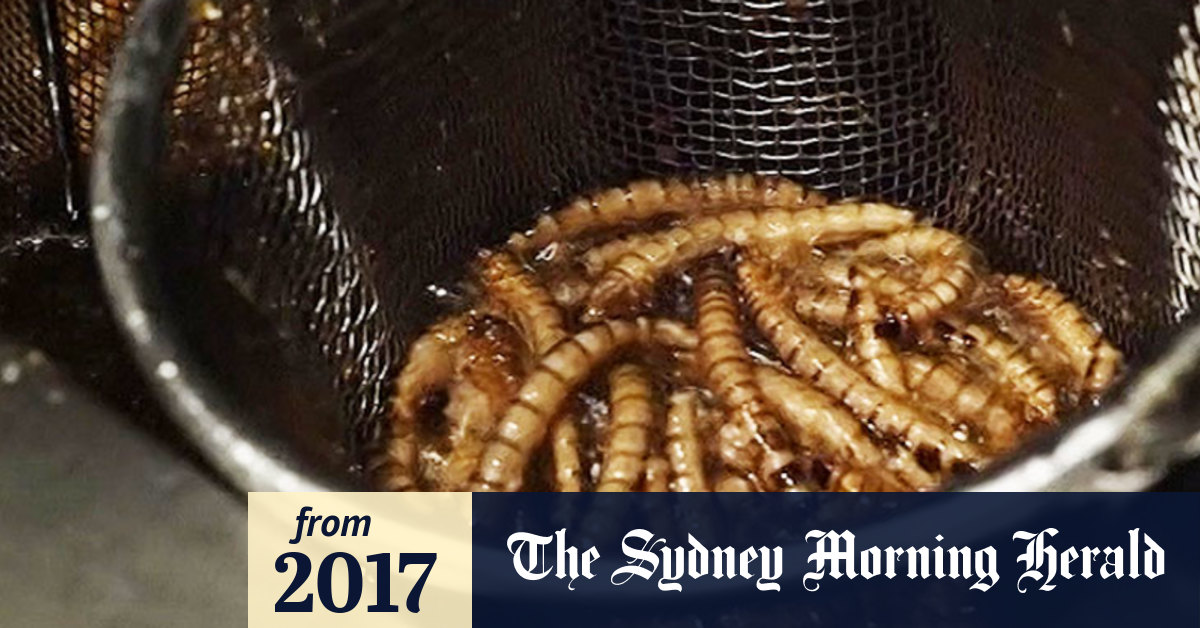 Video: Yum yum insect ramen