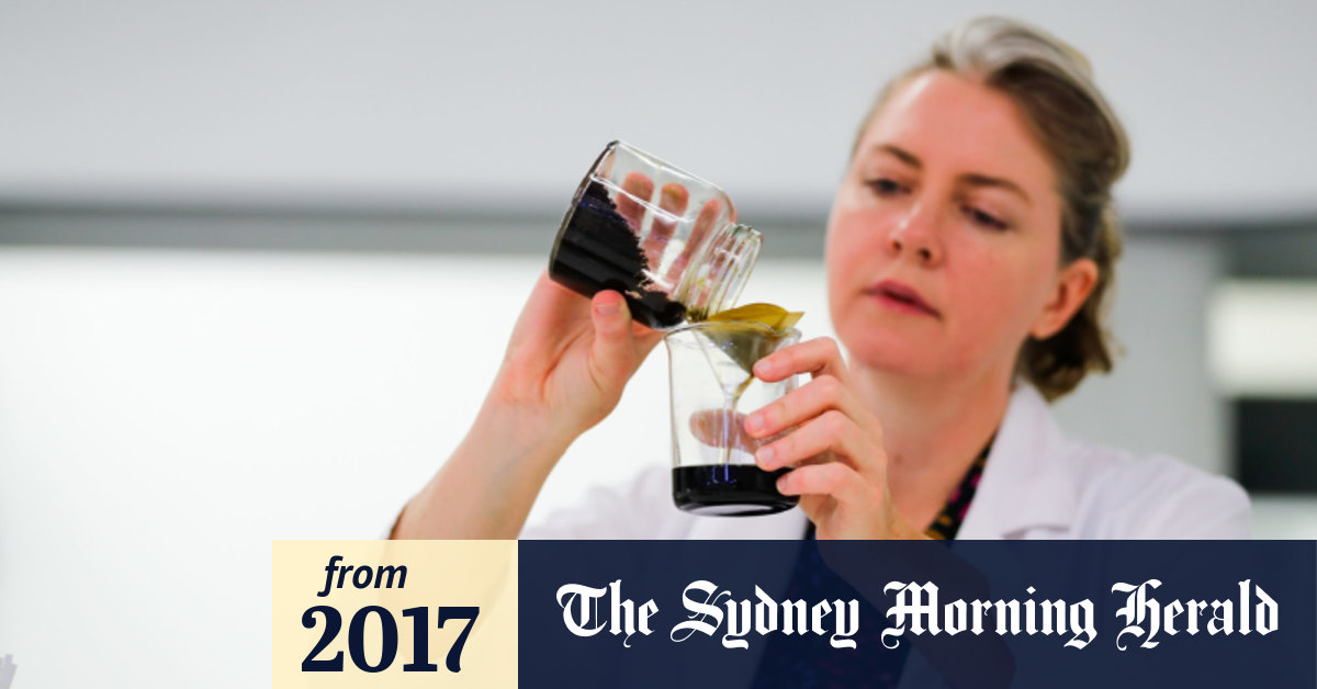 Sydney Festival artist Cat Jones led by the nose to create scents of ...