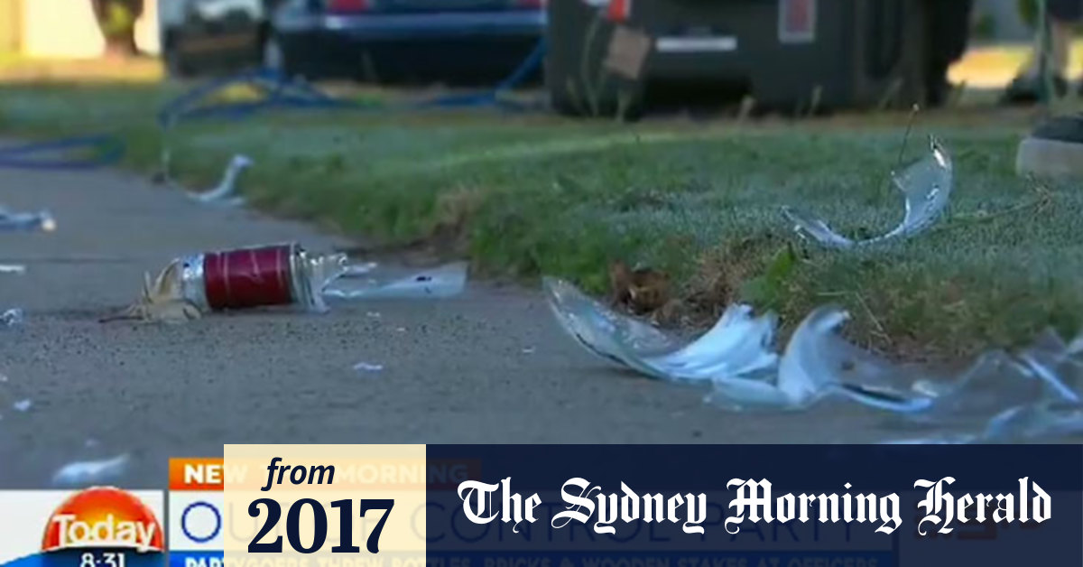 Video: Riot squad called to out of control party