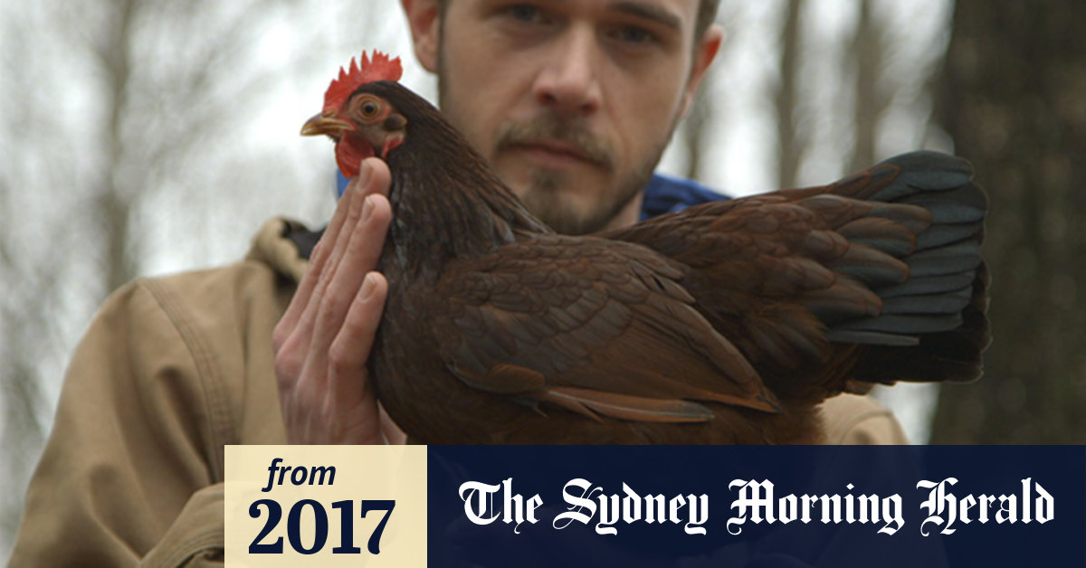 Video: Trailer: Chicken People