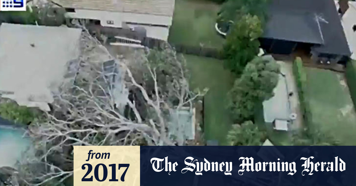 Video: Fig tree falls in rain storm