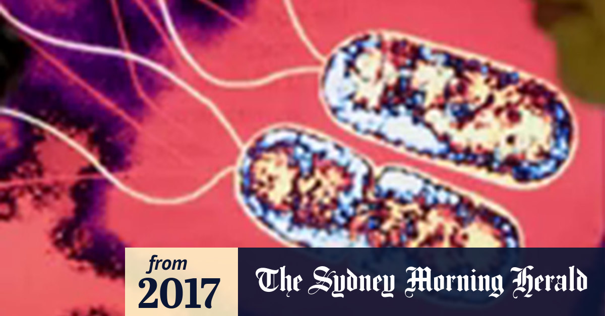 Video: 'Super-superbugs' the new health threat