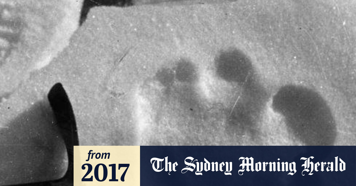 Abominable news: Purported yeti evidence came from bears, dog