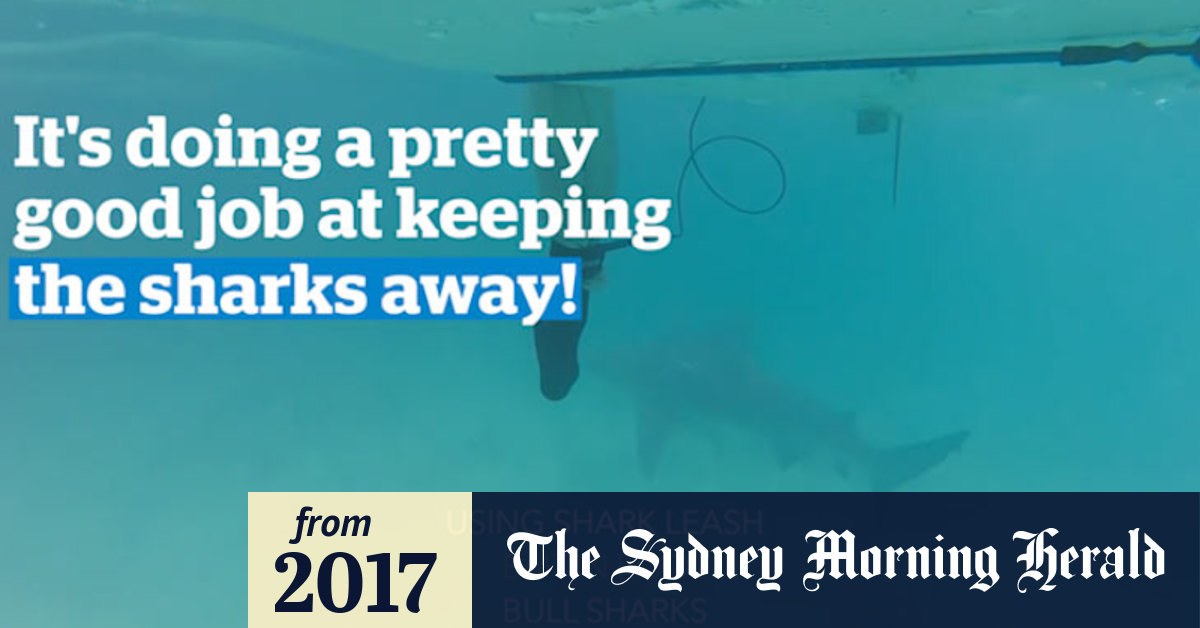 Video: Products to help keep you safe from sharks
