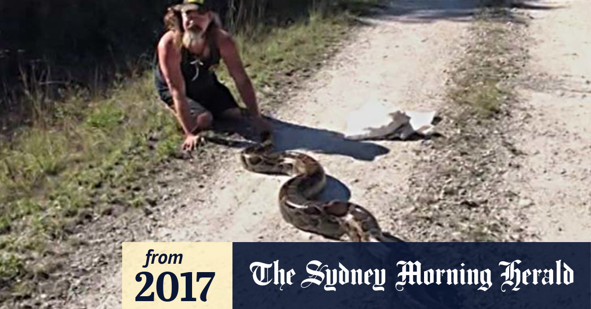 Video: Monster python caught by Dusty 'The Wildman'