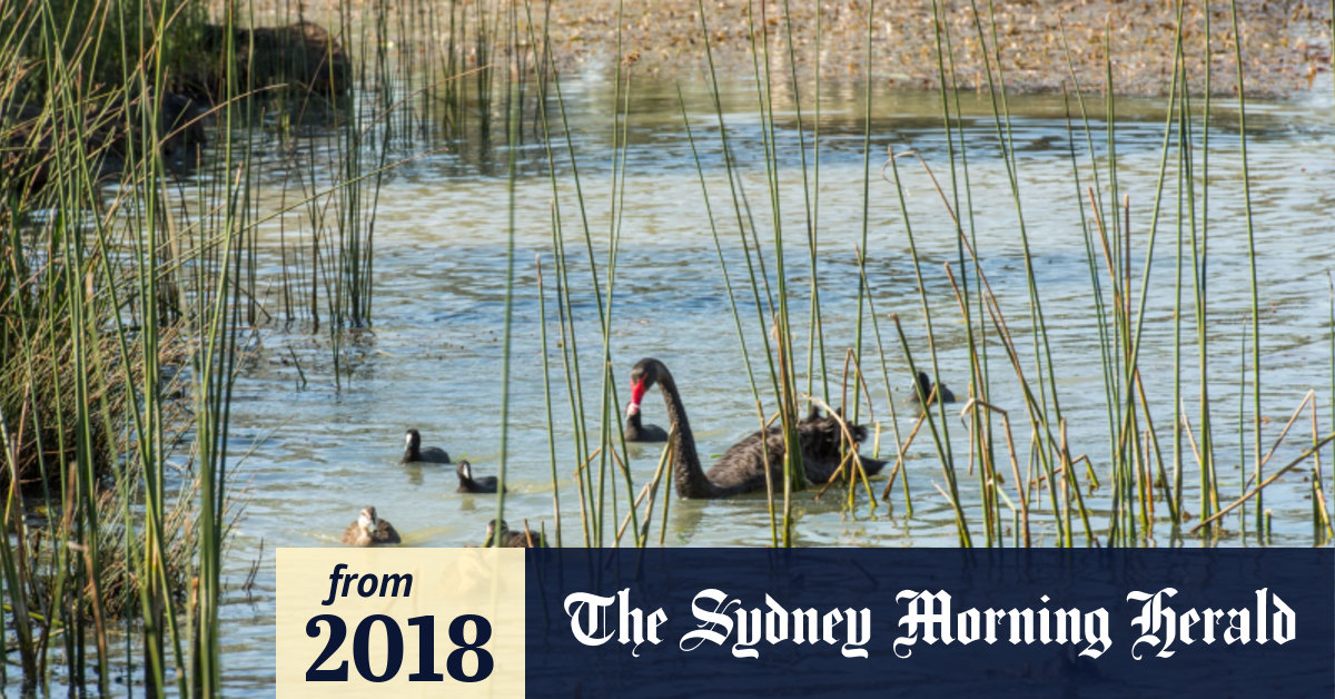 Six Reasons to Visit Caroline Springs