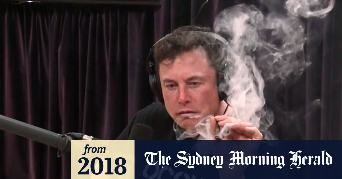 Video: Elon Musk seen smoking pot