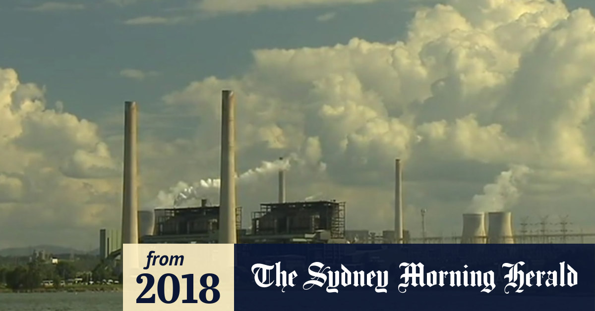 Video: What is the NEG?