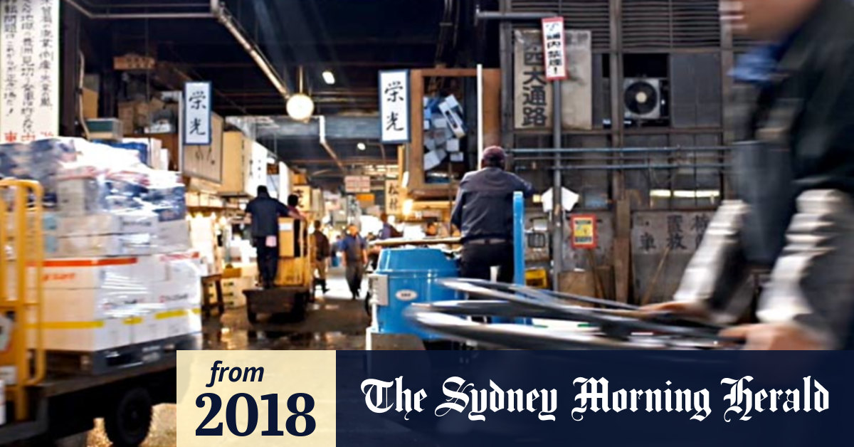 Video: The world's biggest fish markets