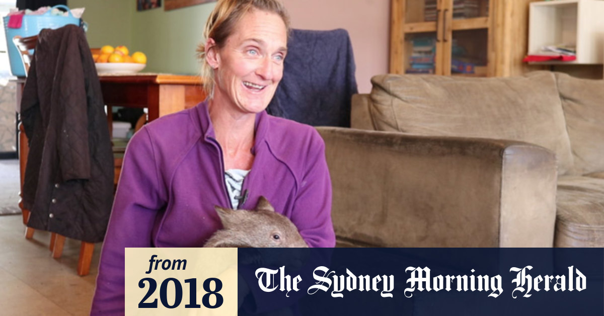 Video: The life of a wombat woman