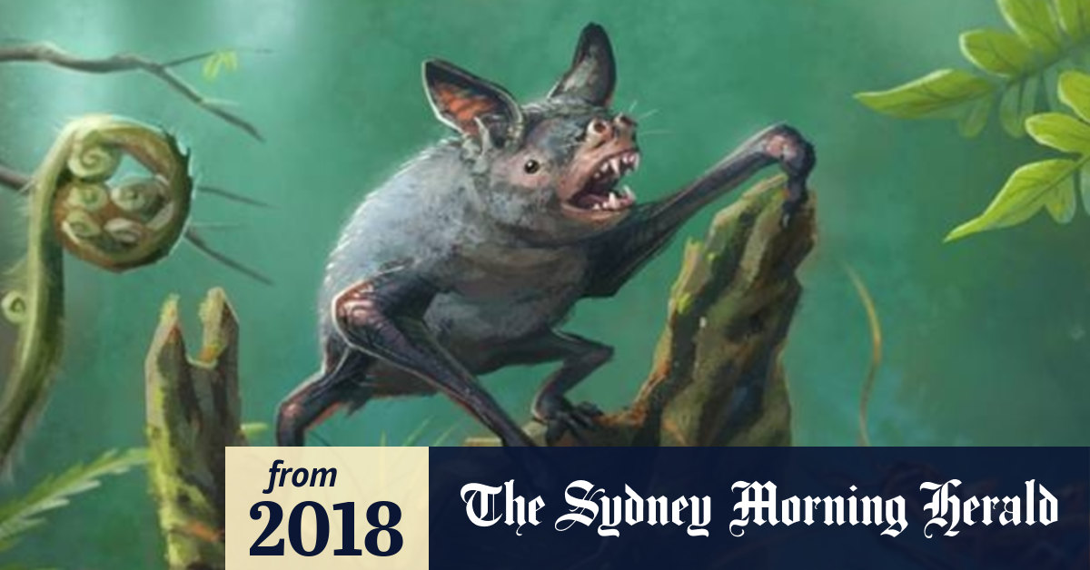 Giant extinct burrowing bat discovered in New Zealand's South Island