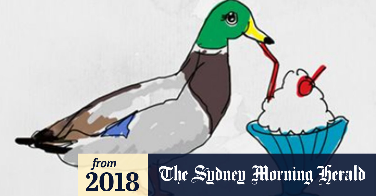 Video: 'Milkshake duck' the word of 2017