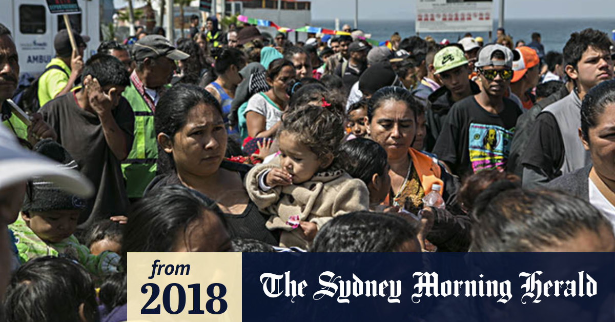 Video: First migrants from caravan seek US asylum